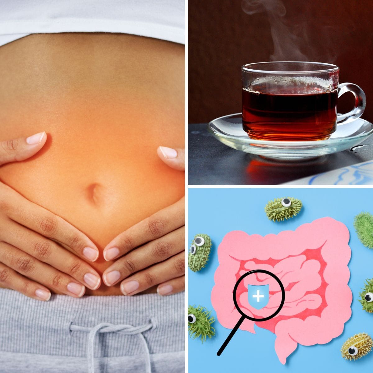 When Should I Drink Probiotic Tea? The Optimal Timing for Gut Health