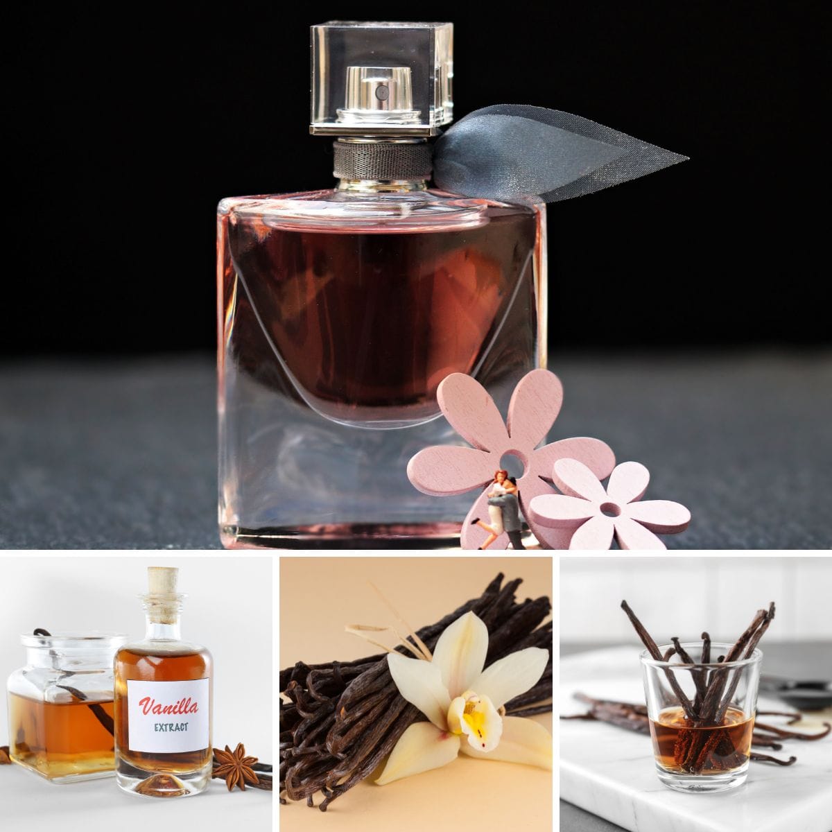 What Is The Most Attractive Scent In Vanilla: An In-Depth Exploration